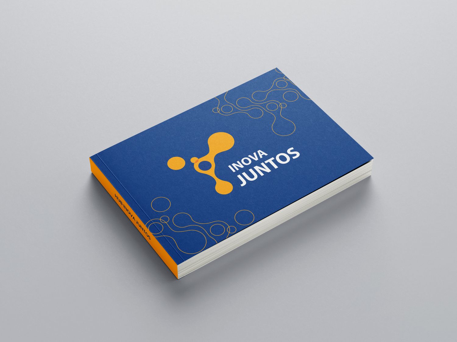 Inova Juntos: projeto de hub de inovação em políticas públicas